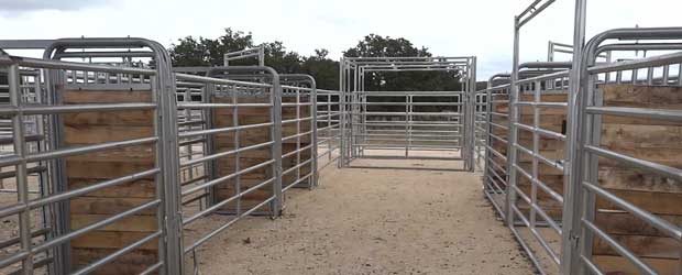 Roping Arena Layouts | Rodeo Equipment | Red River Arenas